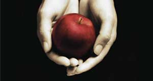 Dip the Apple in the Honey: A New Perspective on an Old Custom – Education